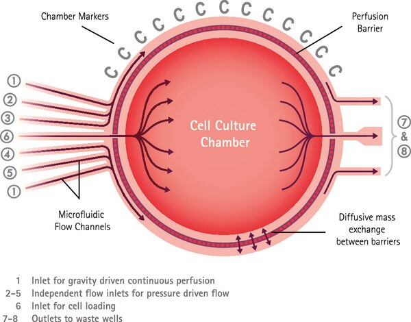 CellASIC® ONIX微流体平台 - CellASIC ONIX Microfluidic System and Accessories